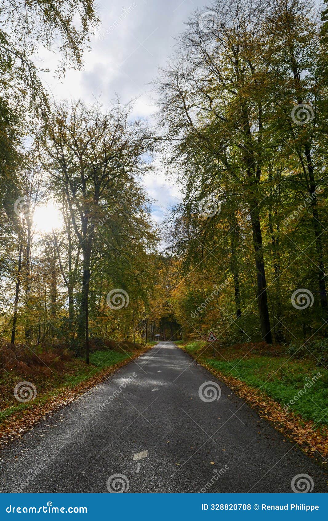 Small Road Stone Background, Dark Gravel Pebbles Stone Texture Seamless ...