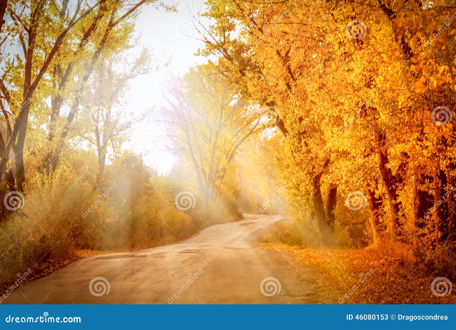 Autumn Landscape with Sunny Rays Stock Image - Image of beauty, fall ...
