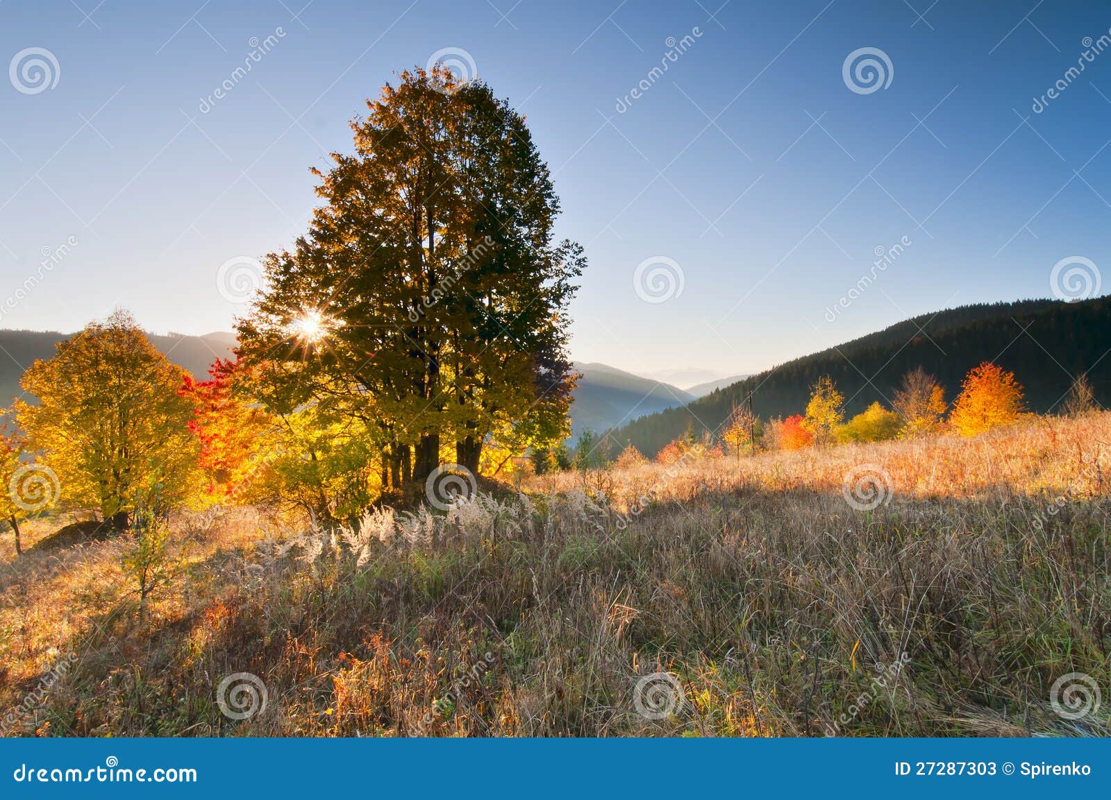 Autumn Landscape at Sunrise Stock Image - Image of mist, environment ...