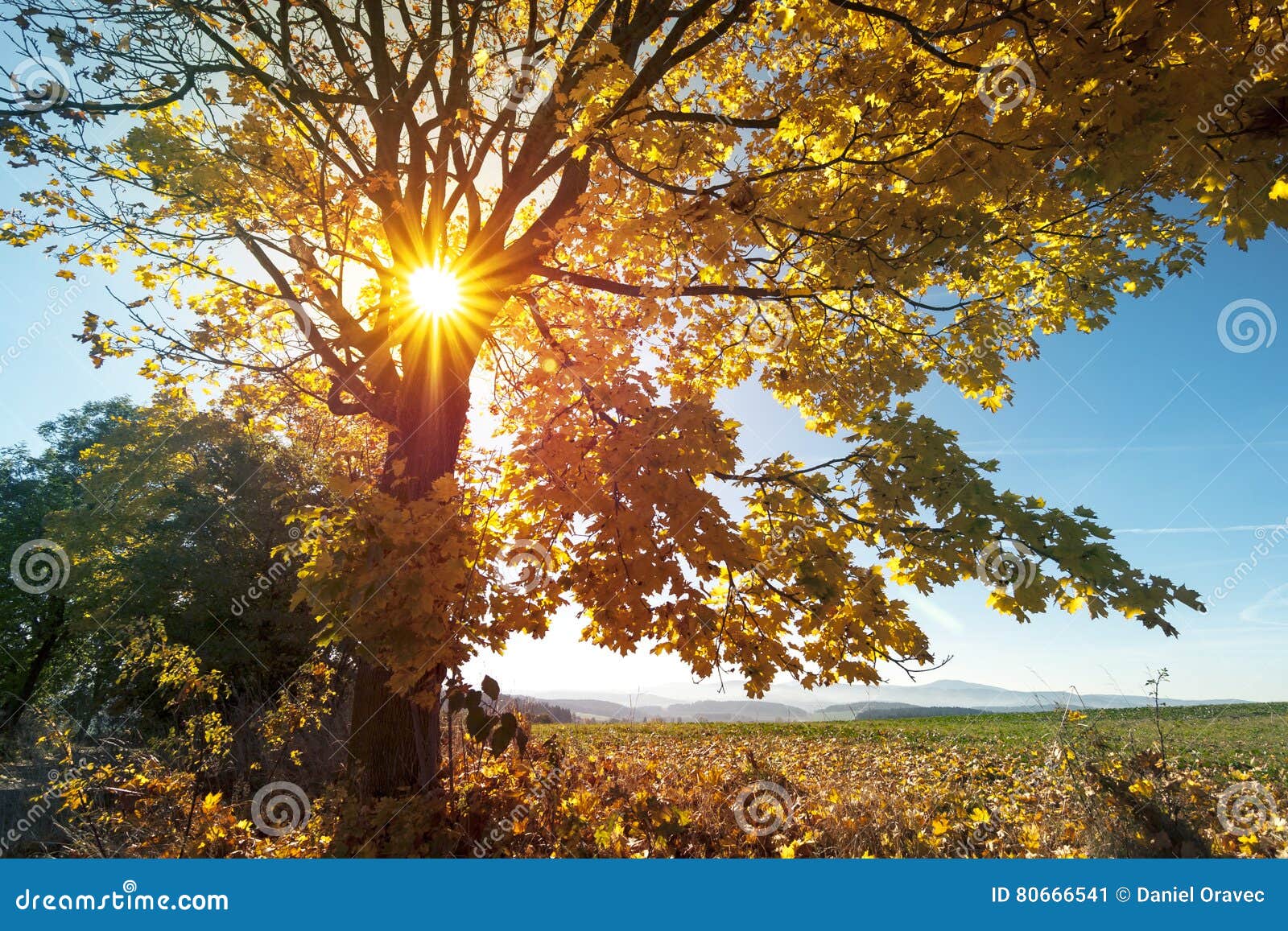 Autumn Landscape with Sunrise Stock Image - Image of countryside ...