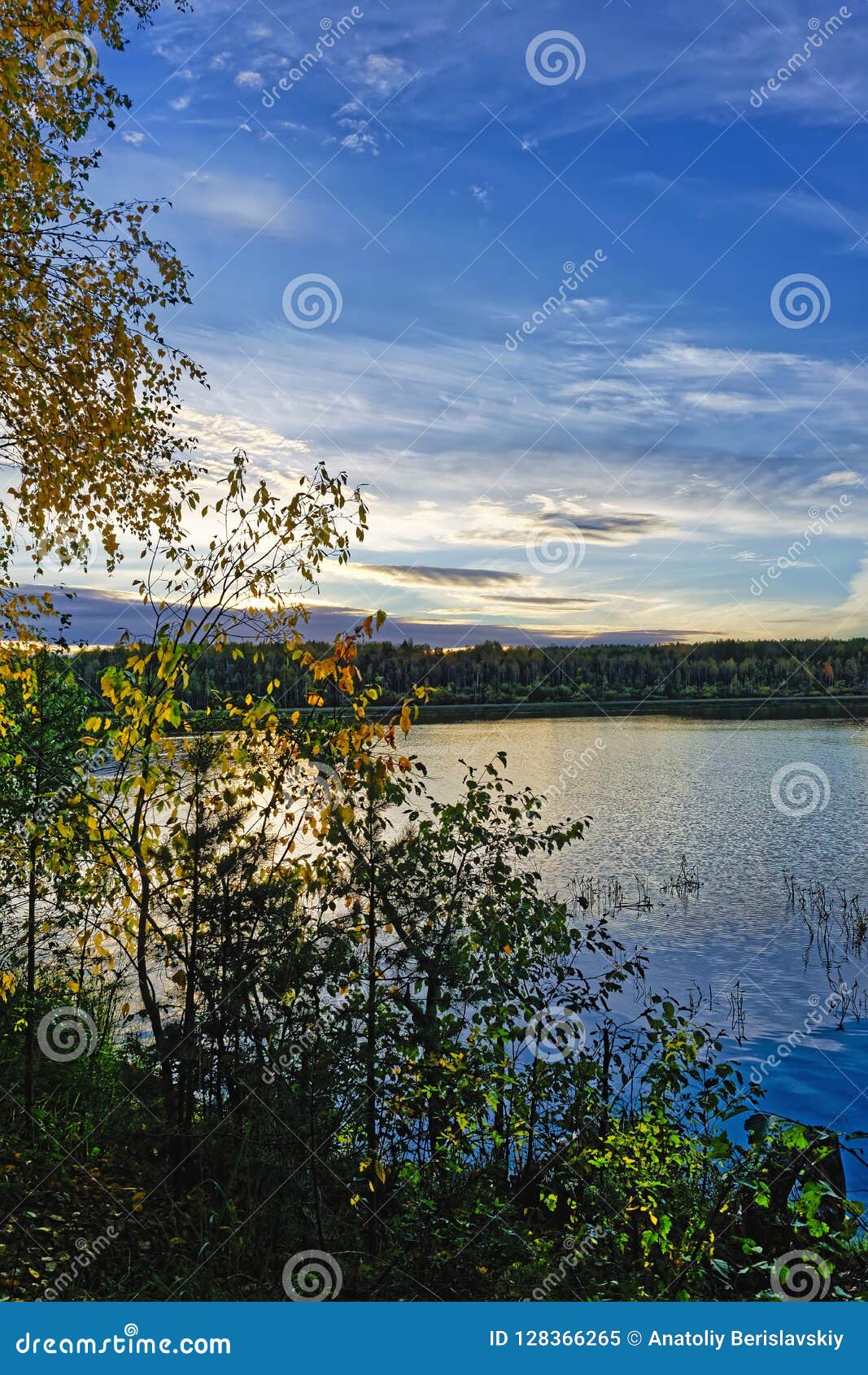 Autumn Landscape Sunset in the Forest by the Lake. Beautiful View in ...