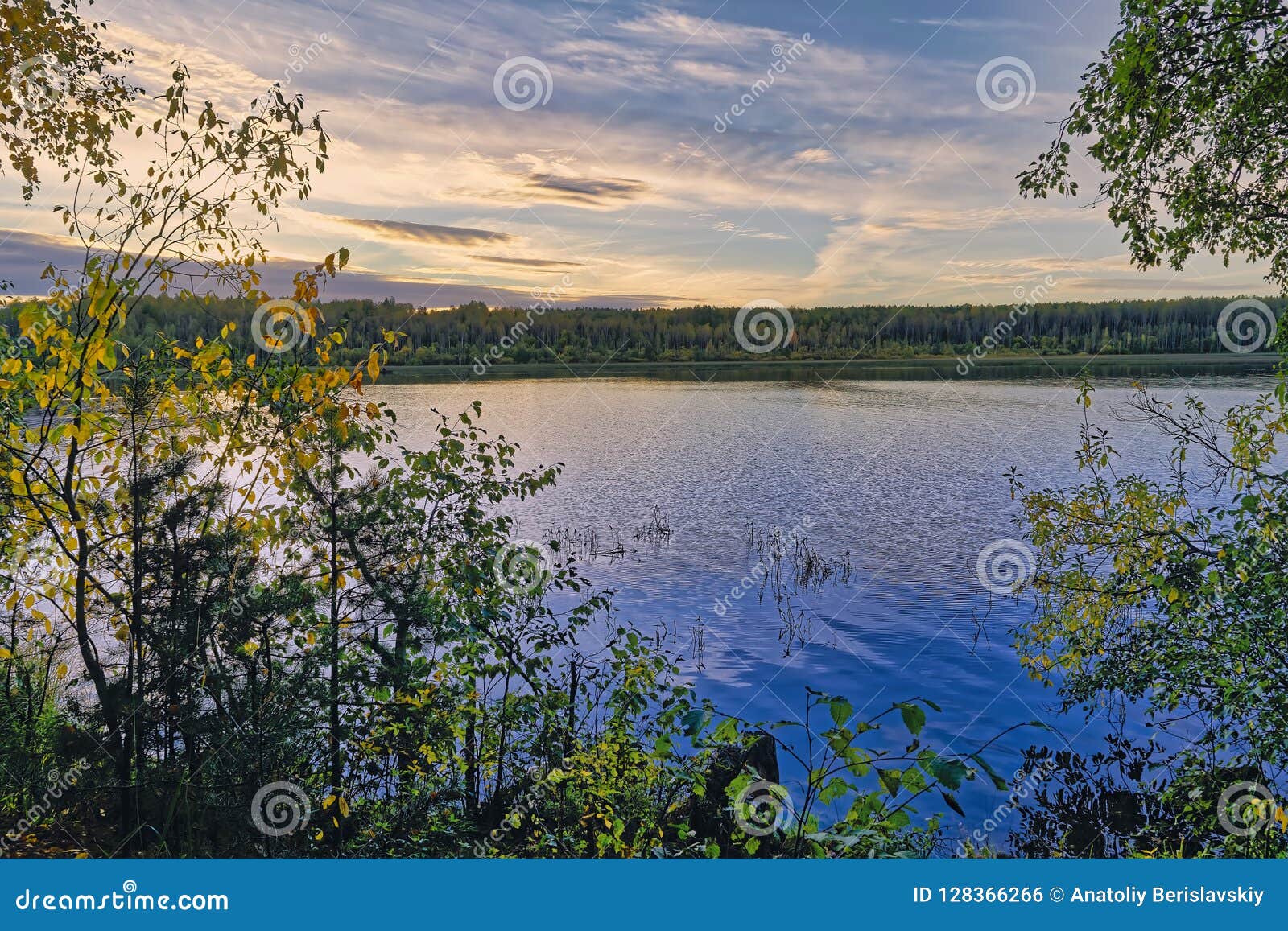 Autumn Landscape Sunset in the Forest by the Lake. Beautiful View in ...