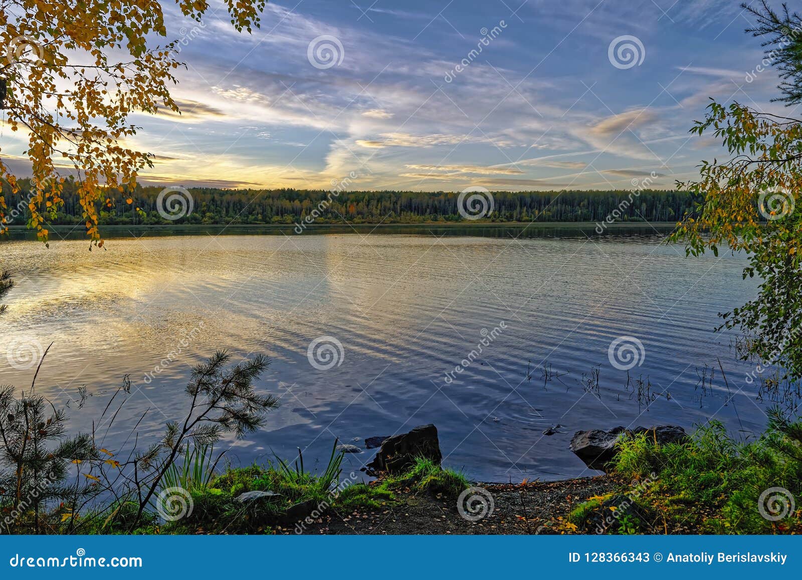 Autumn Landscape Sunset in the Forest by the Lake. Beautiful View in ...