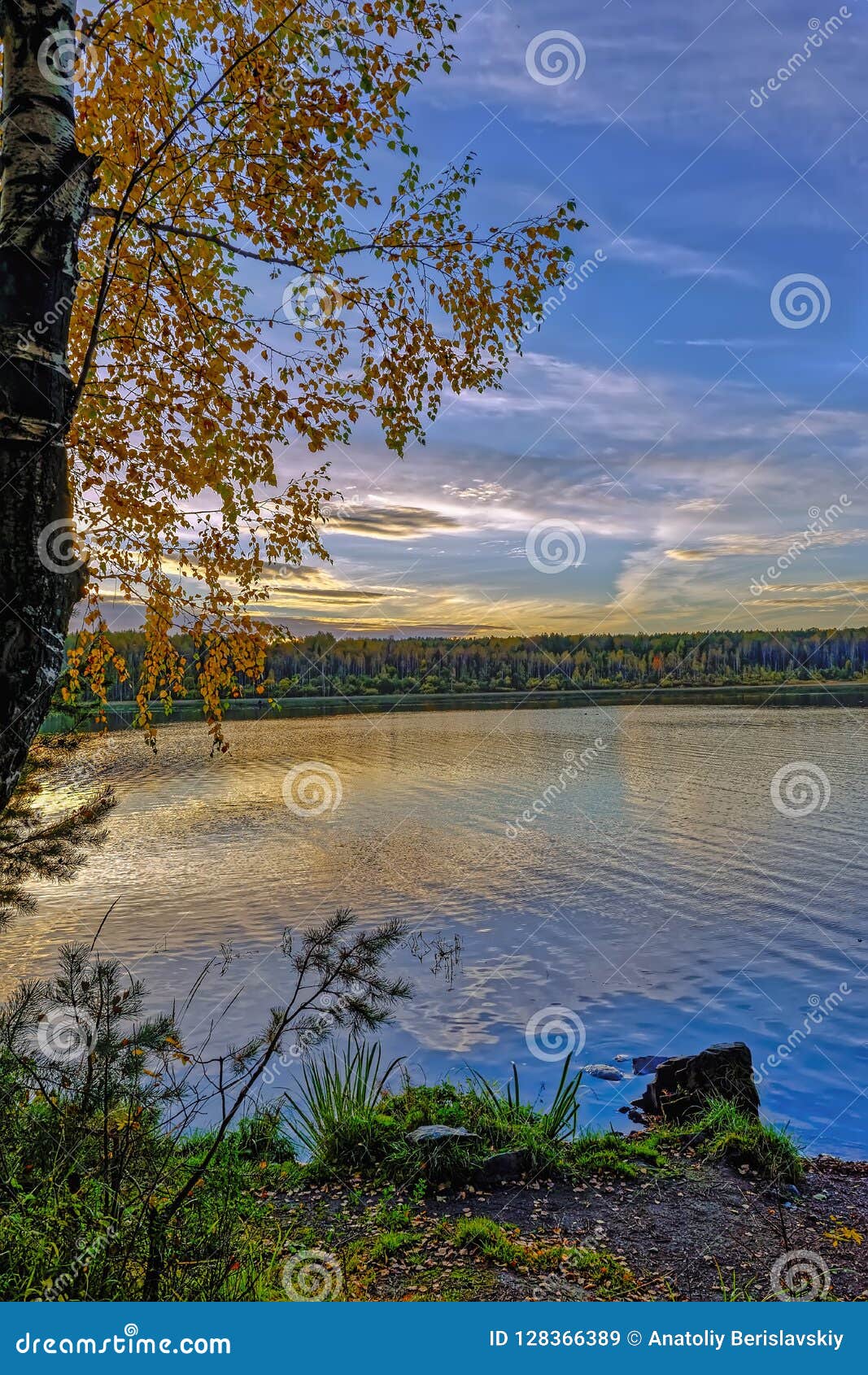 Autumn Landscape Sunset in the Forest by the Lake. Beautiful View in ...