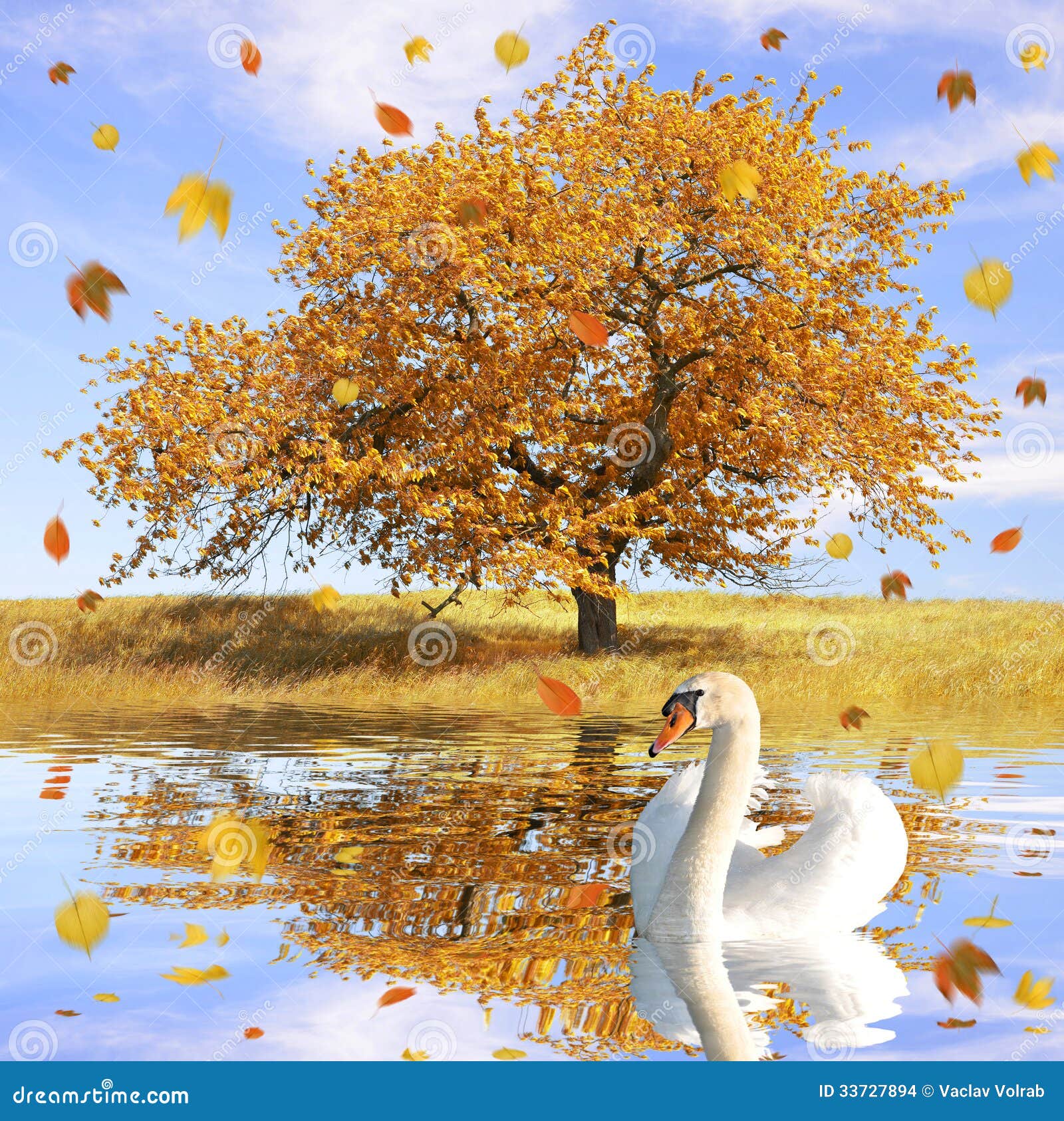 Autumn landscape stock photo. Image of bright, scenic - 33727894