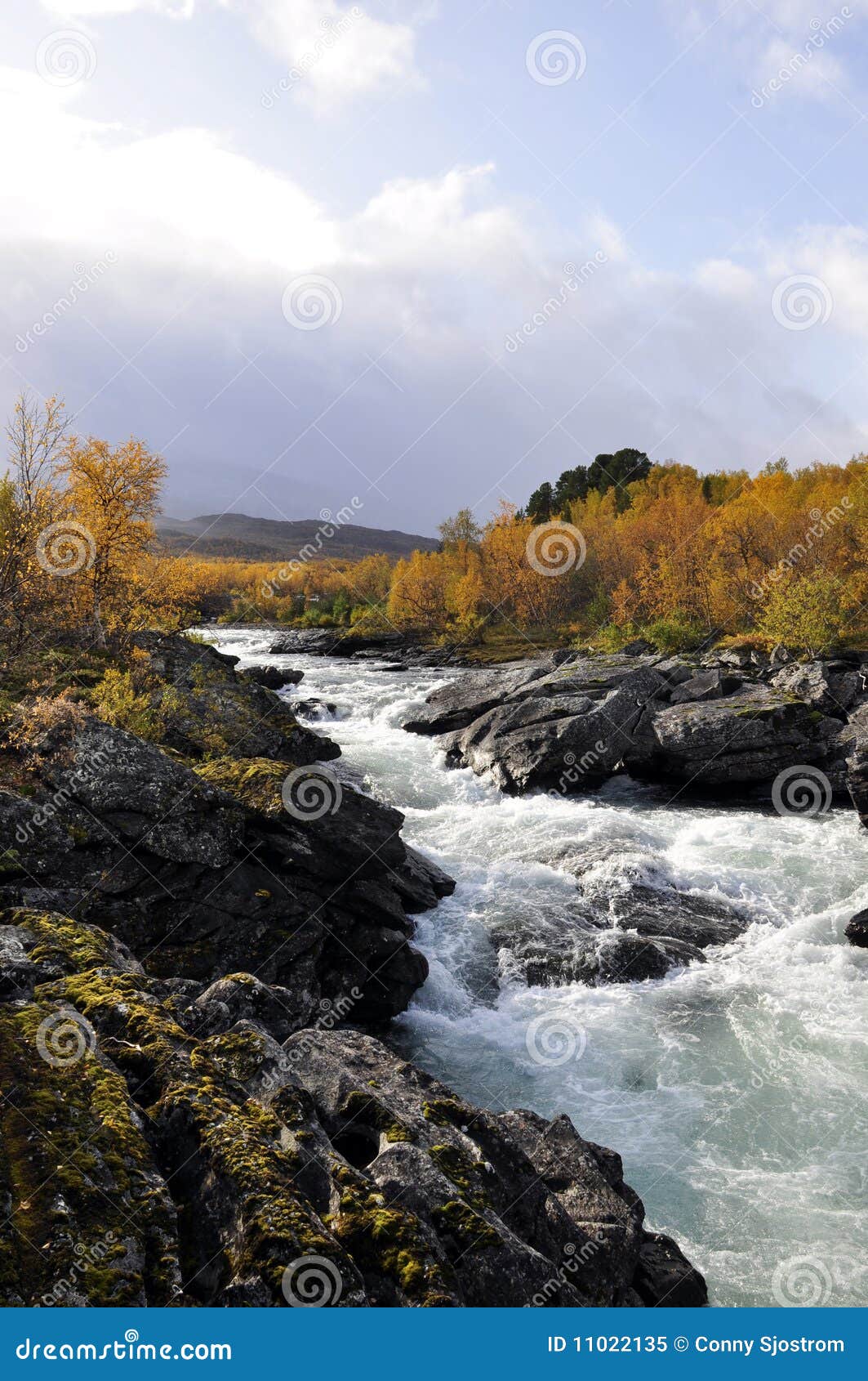 Autumn landscape in Sweden stock image. Image of fall - 11022135