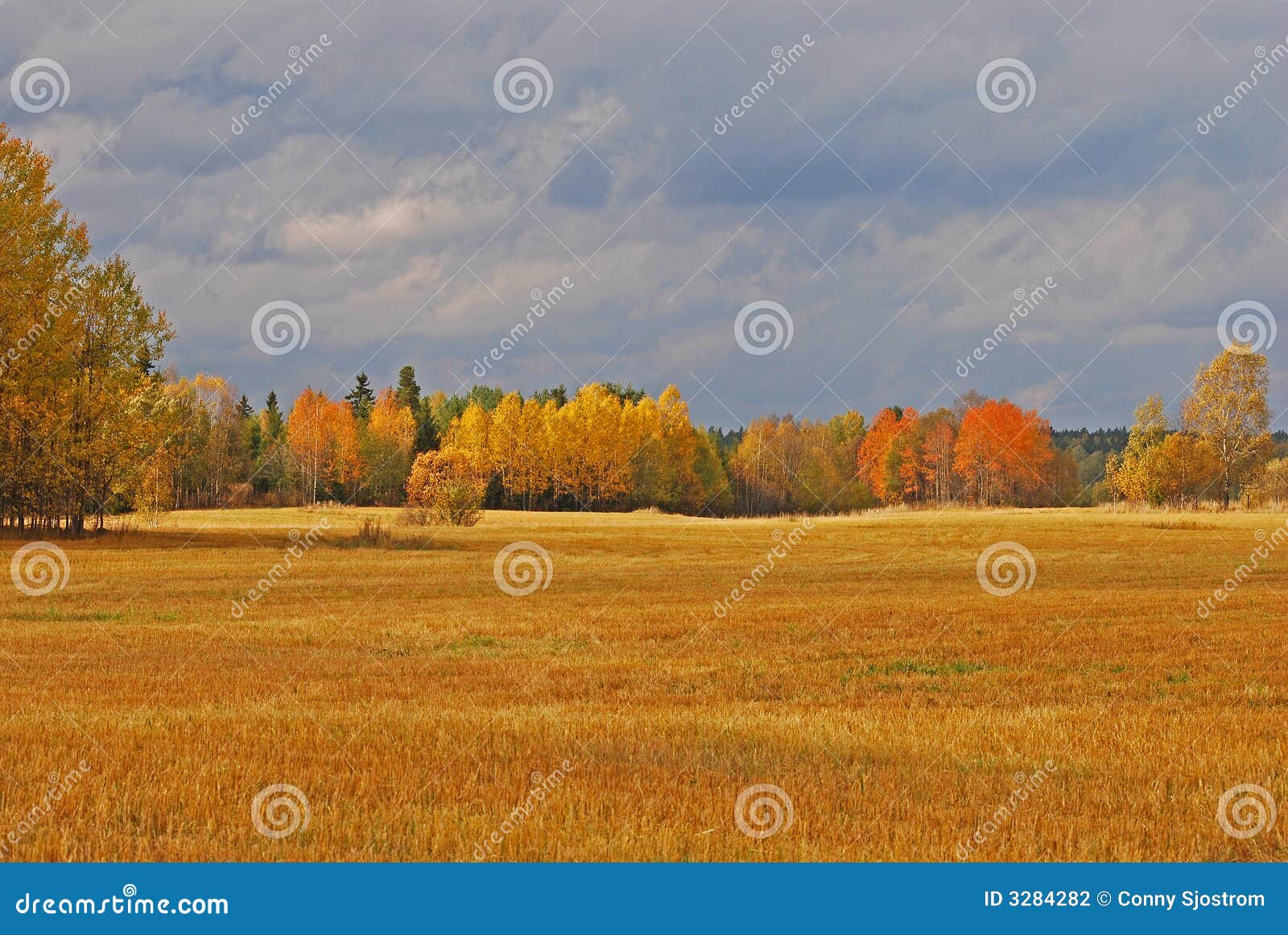 Autumn landscape in Sweden stock photo. Image of outdoor - 3284282