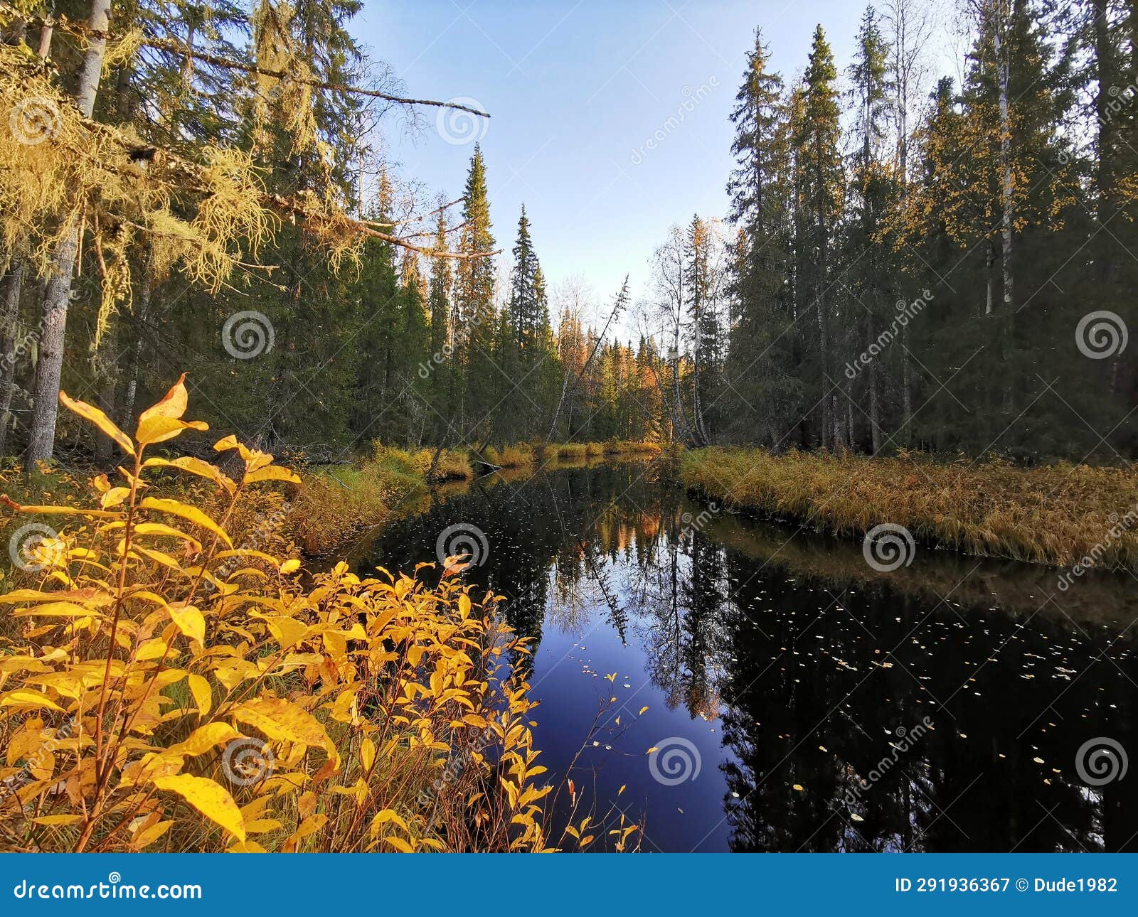 Autumn Landscape on a Taiga River. Reflection of the Forest in the ...