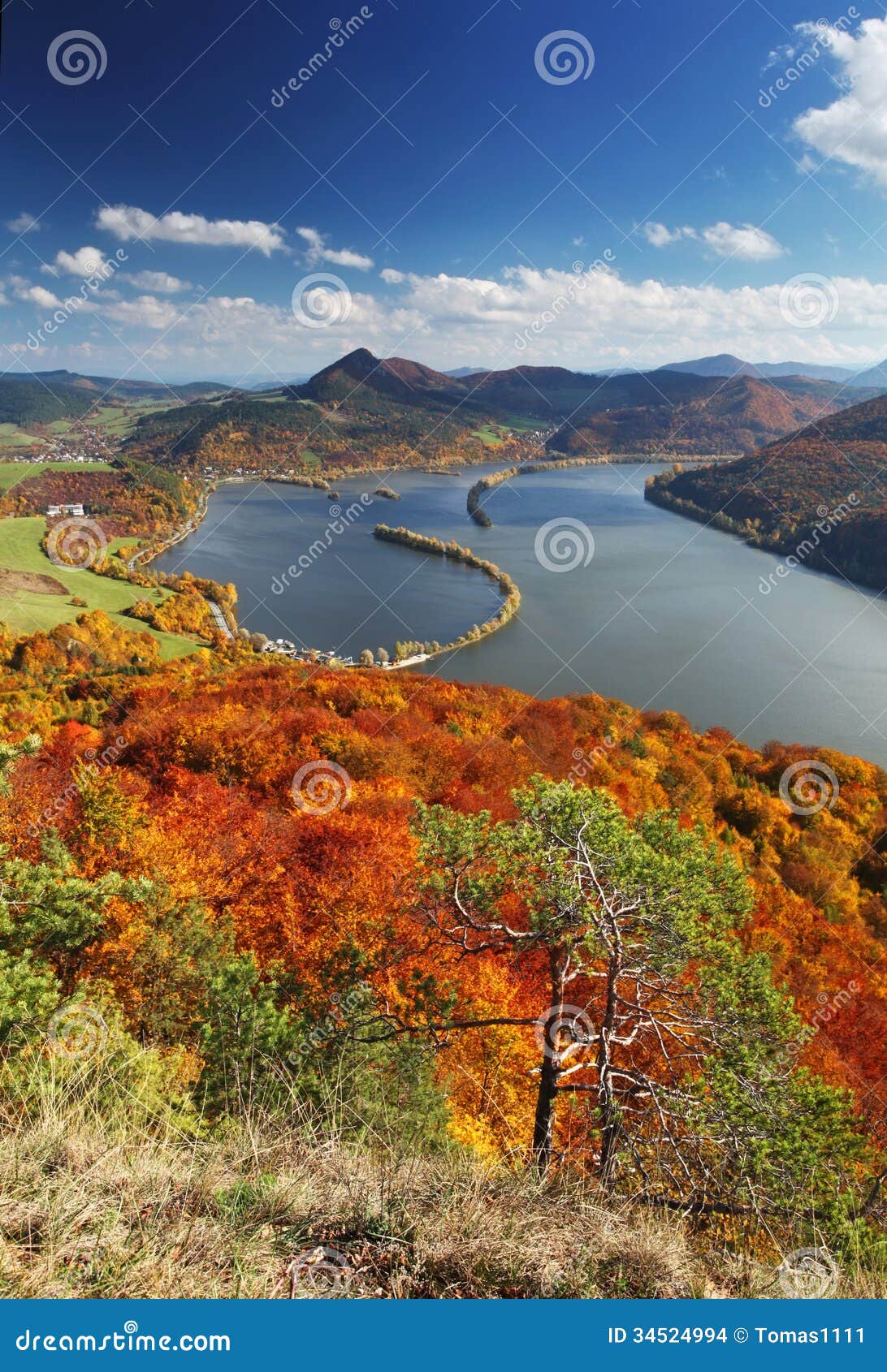 Autumn Landscape with Trees and Lawn in the Foreground. the Autumn ...