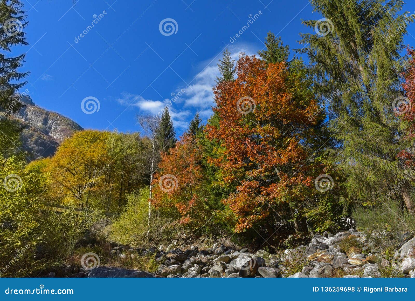 Autumn Landscape with Trees Stock Photo - Image of peak, blue: 136259698