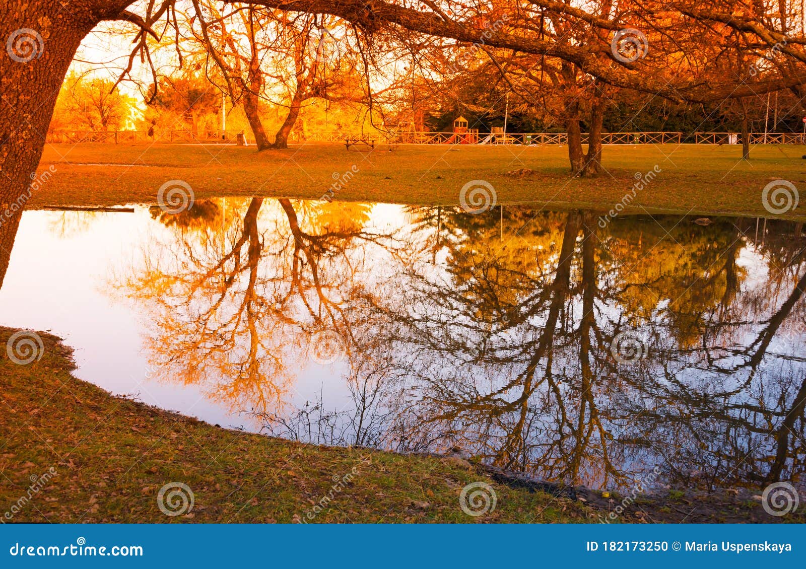 Autumn Landscape with Trees Reflecting in Water Stock Photo - Image of ...