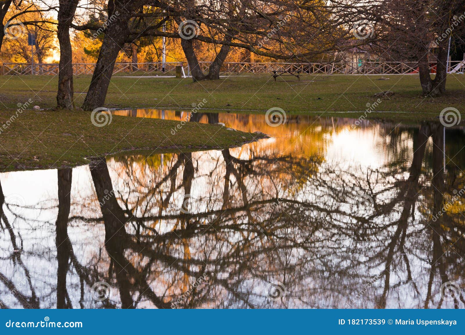 Autumn Landscape with Trees Reflecting in Water Stock Image - Image of ...