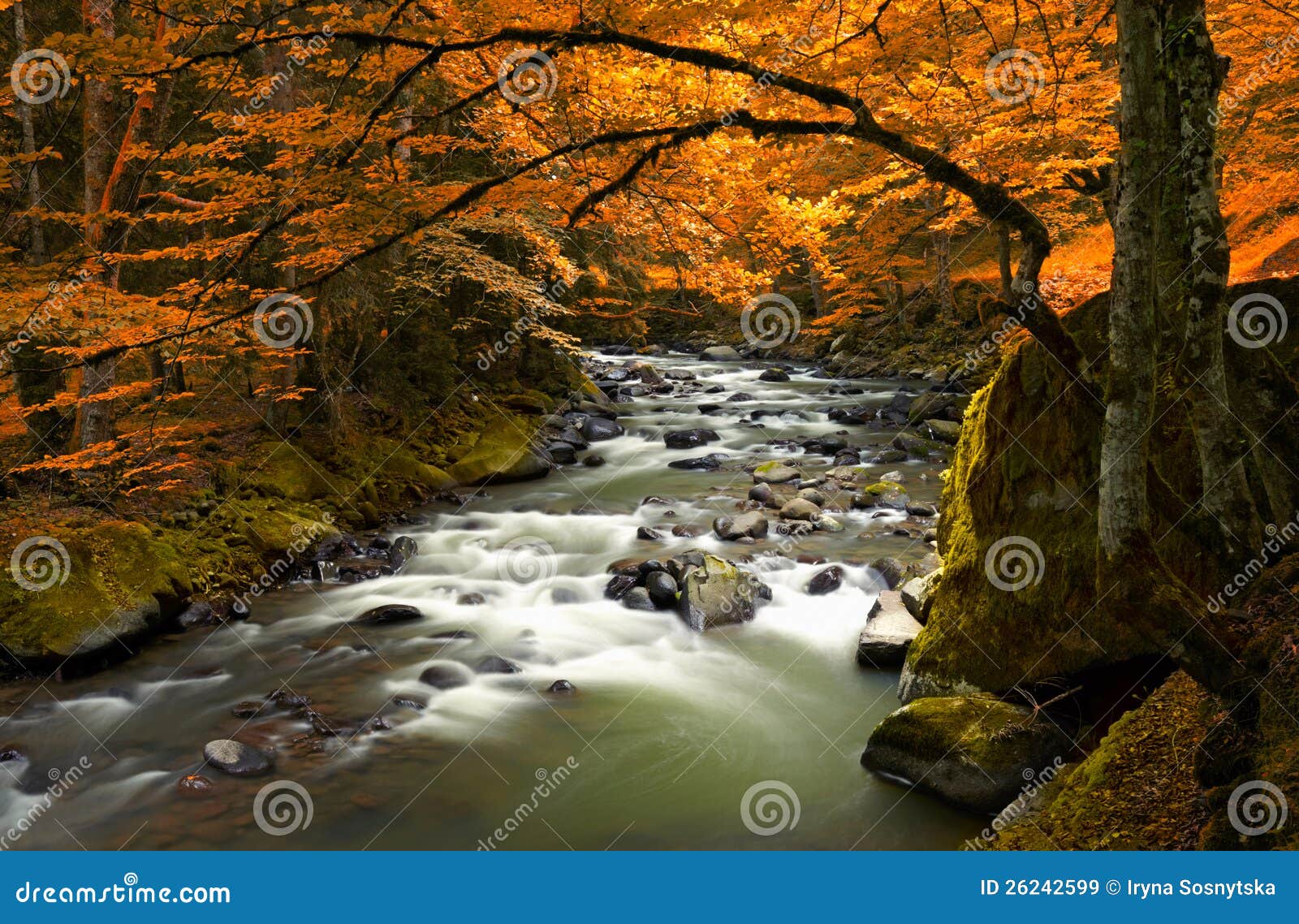 Autumn Landscape with Trees and River Stock Image - Image of background ...