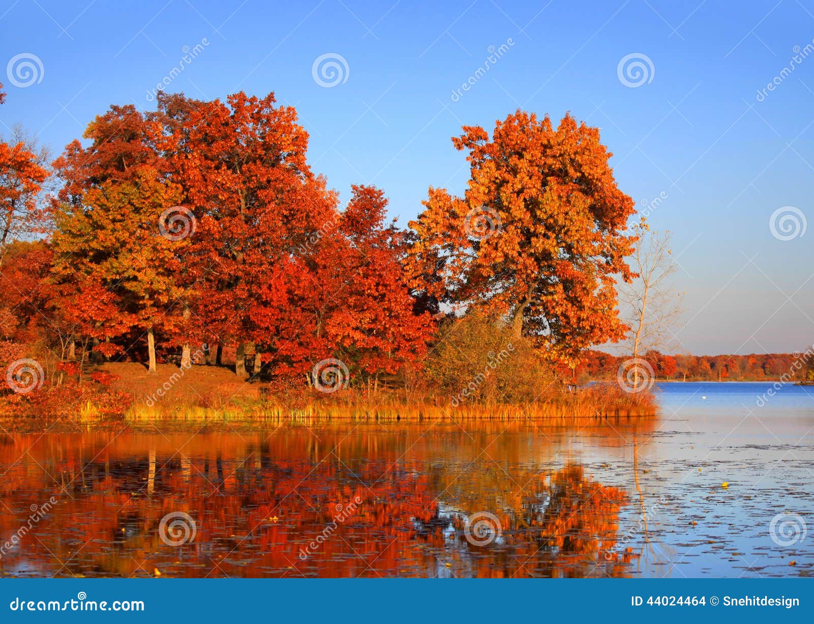 Autumn Landscape in Twilight Stock Photo - Image of leaves, nature ...