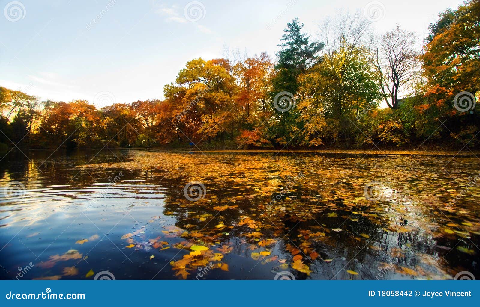 Autumn Landscape from Water Stock Photo - Image of leaves, golden: 18058442