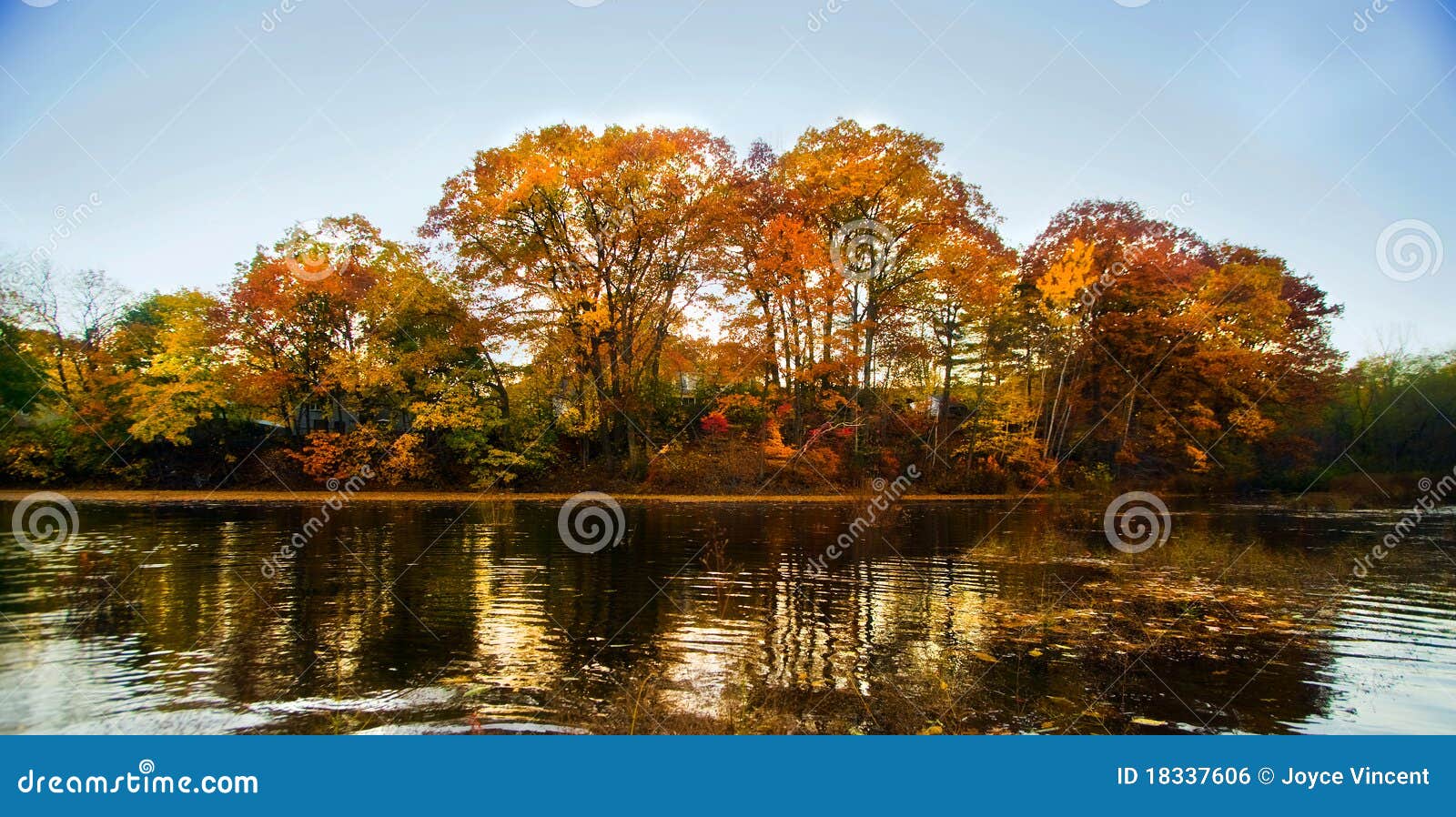 Autumn Landscape from Water Stock Photo - Image of fall, autumn: 18337606