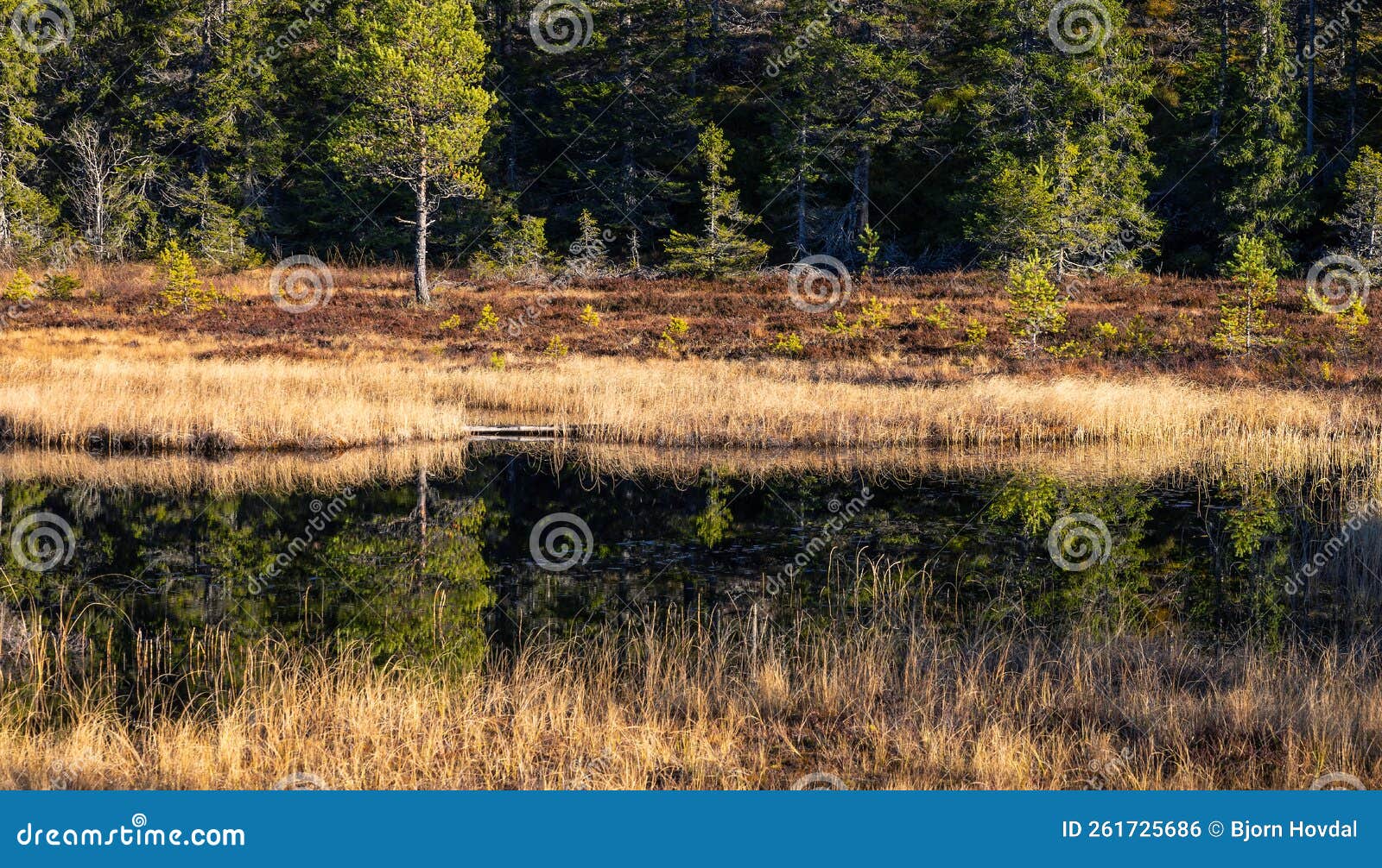 Autumn Landscape with Water in the Front Stock Photo - Image of leaves ...