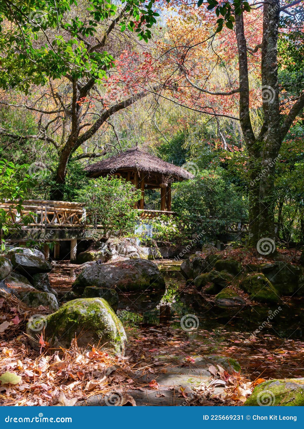 Autumn Landscape in Wuling Farm Stock Image - Image of asian, leaf ...