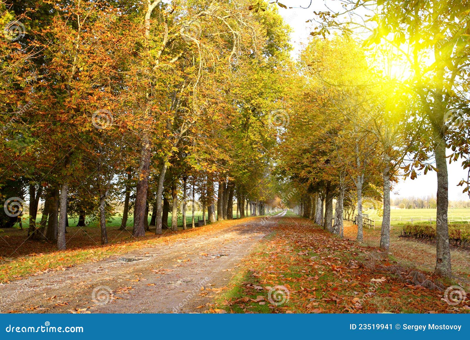 Autumn lane stock image. Image of sunset, fall, autumn - 23519941