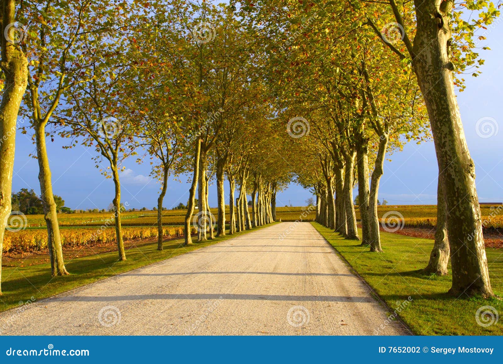 Autumn lane stock photo. Image of lighting, path, village - 7652002