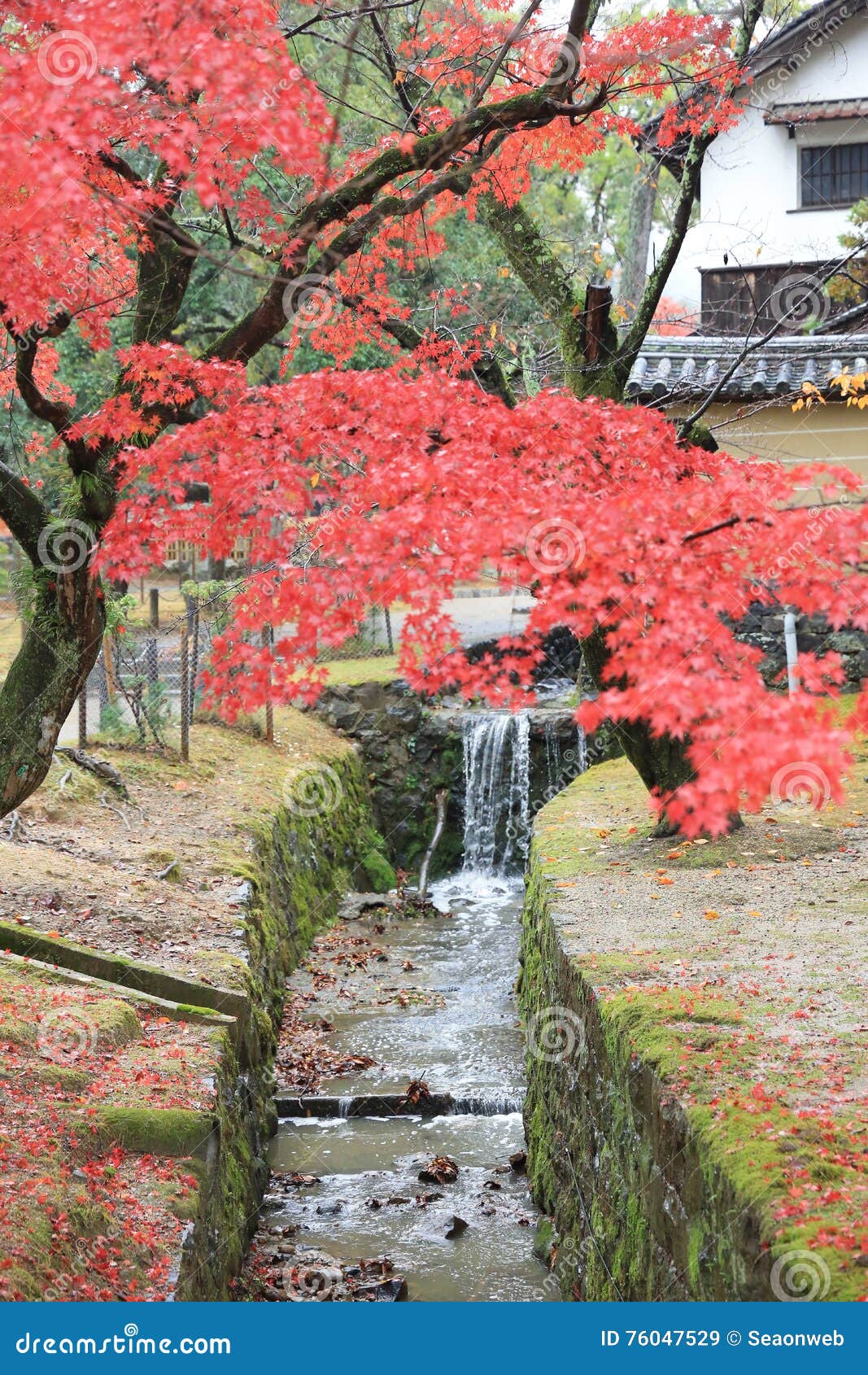 Autumn Laves Bei Nara Park in Nara Stockbild - Bild von hintergründe ...