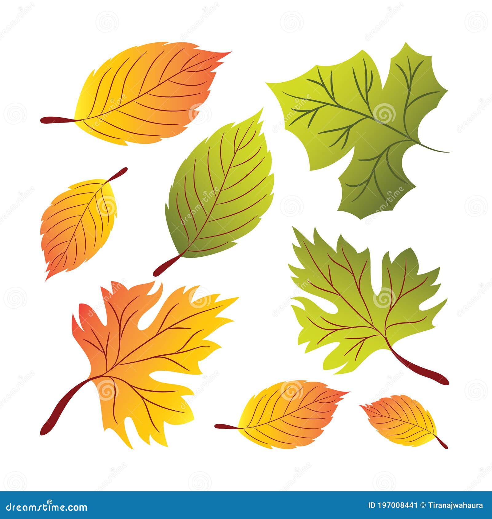 Modern Simple Autumn Leaves Design Elements Stock Vector - Illustration ...