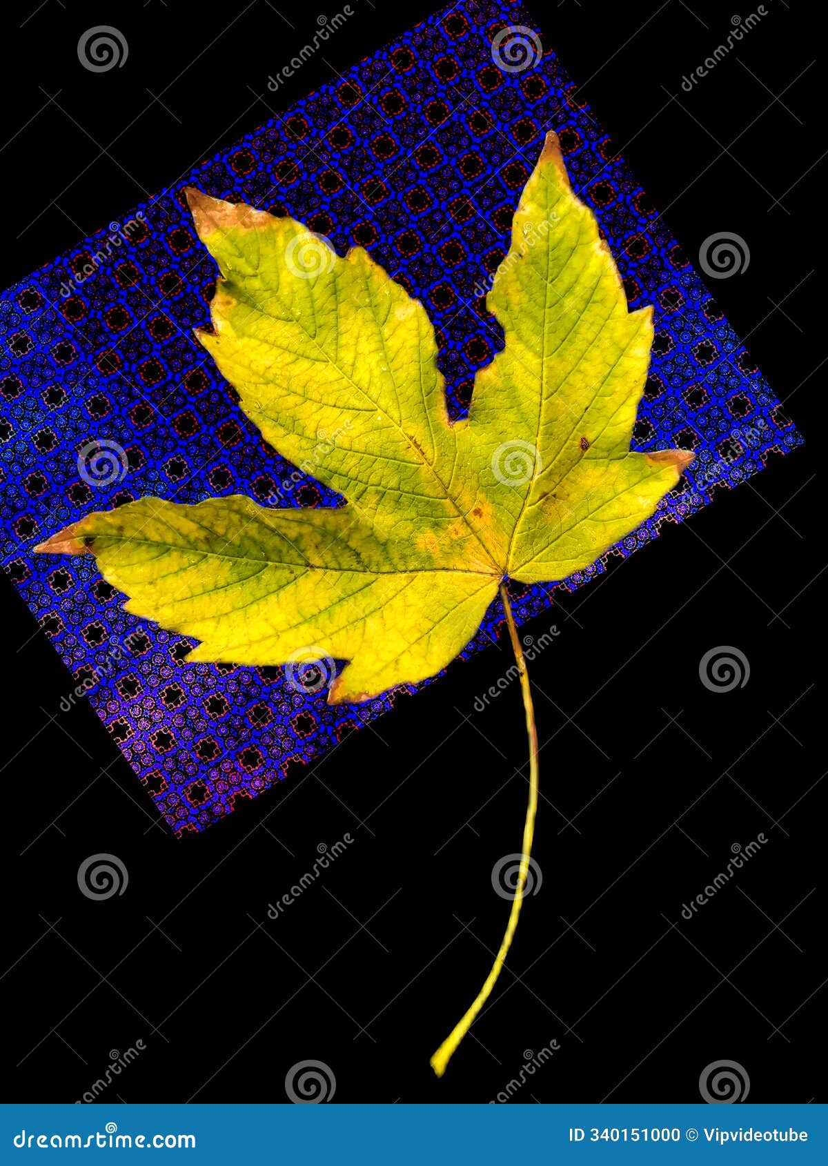 Autumn Leaf on Abstract Background Stock Photo - Image of concept ...