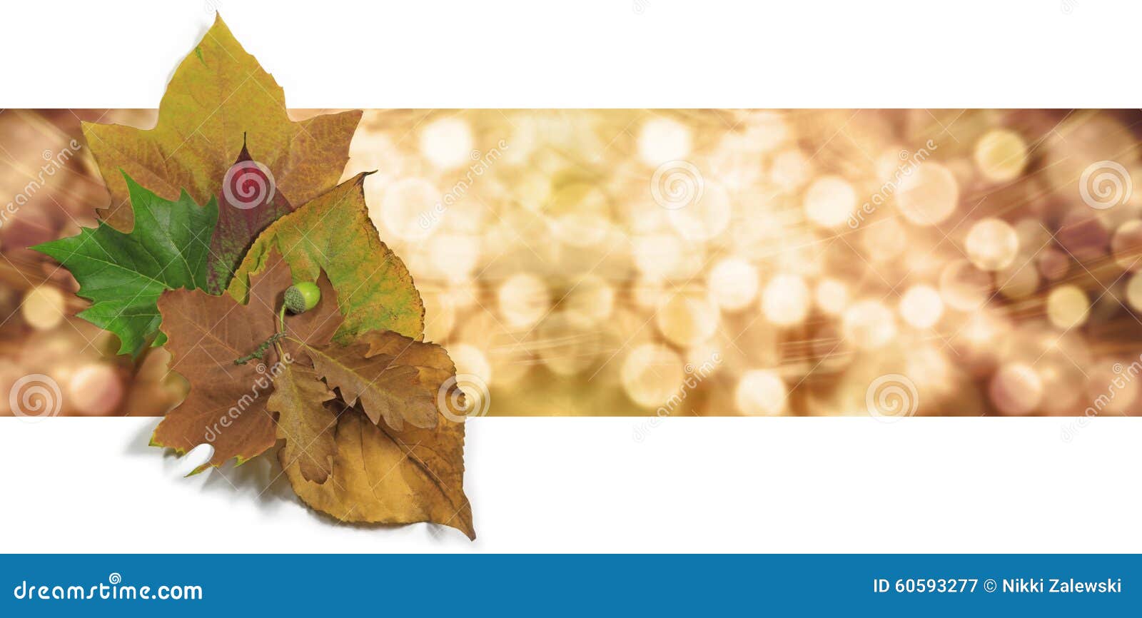 Autumn Leaf Bokeh Website Banner Stock Image - Image of grunge, bokeh ...