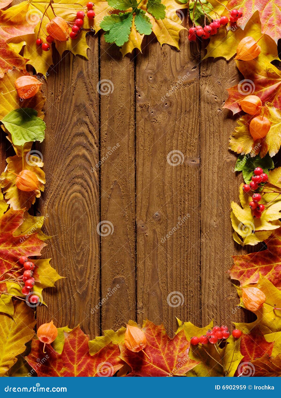 Autumn leaf border stock image. Image of wood, background - 6902959