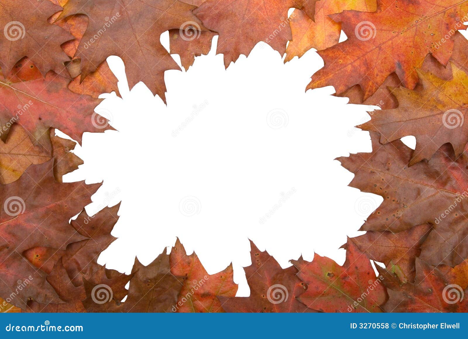 Autumn Leaf Circular Border Stock Photo - Image of copy, frame: 3270558