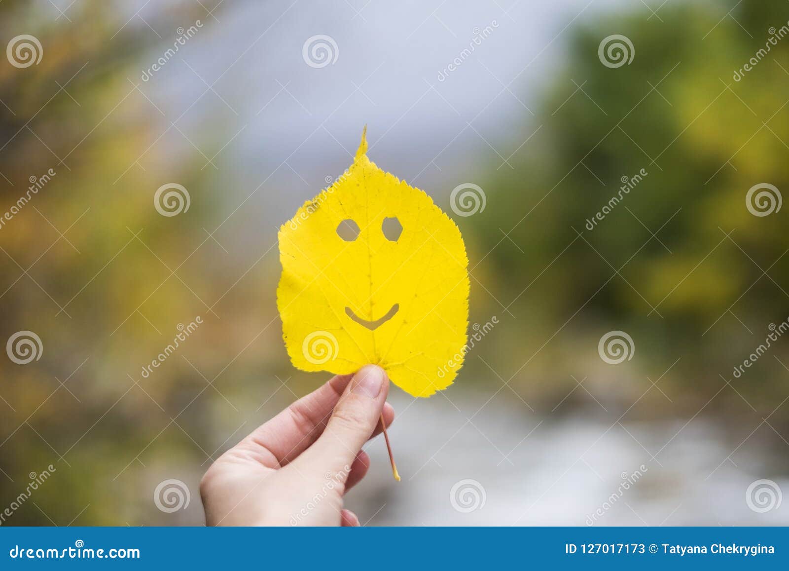 Autumn Leaf Emoji, Smiley in a Hand Stock Image - Image of orange ...