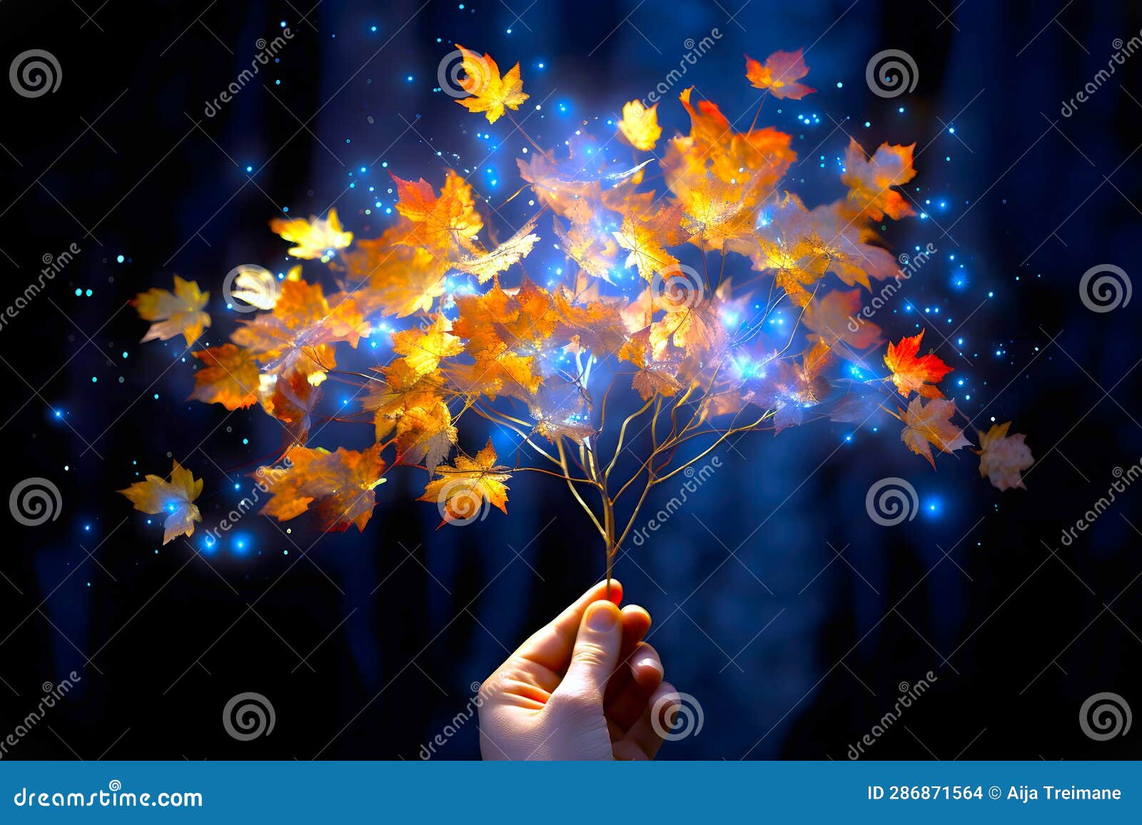 Autumn Leaf Firework from a Hand Firecracker on the Background of a ...