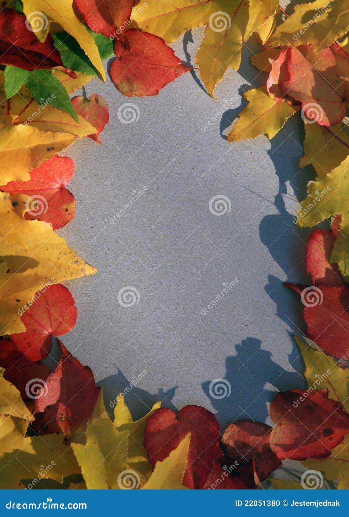 Autumn Leaf Frame stock photo. Image of background, weather - 22051380