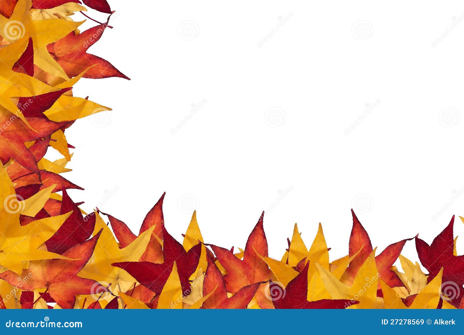 Autumn leaf frame stock image. Image of orange, autumn - 27278569