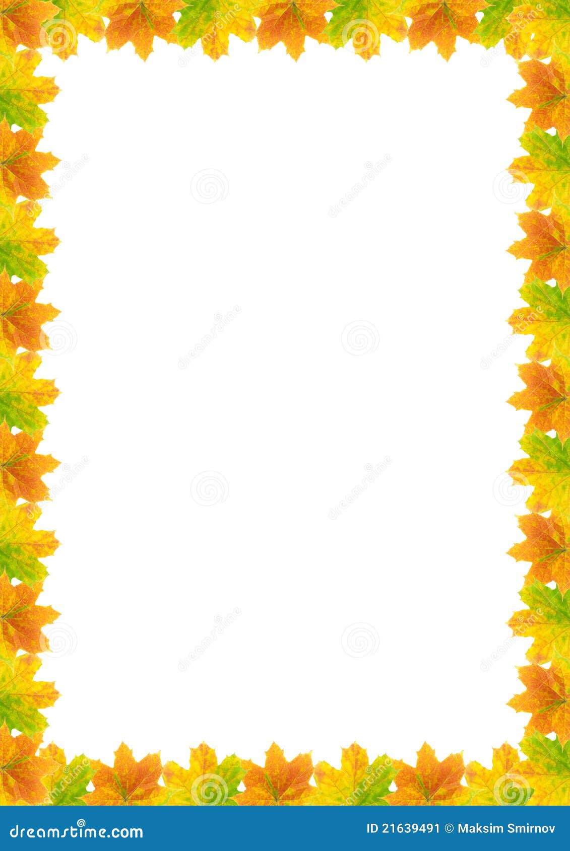 Autumn Leaf Frame A4 stock image. Image of white, fall - 21639491