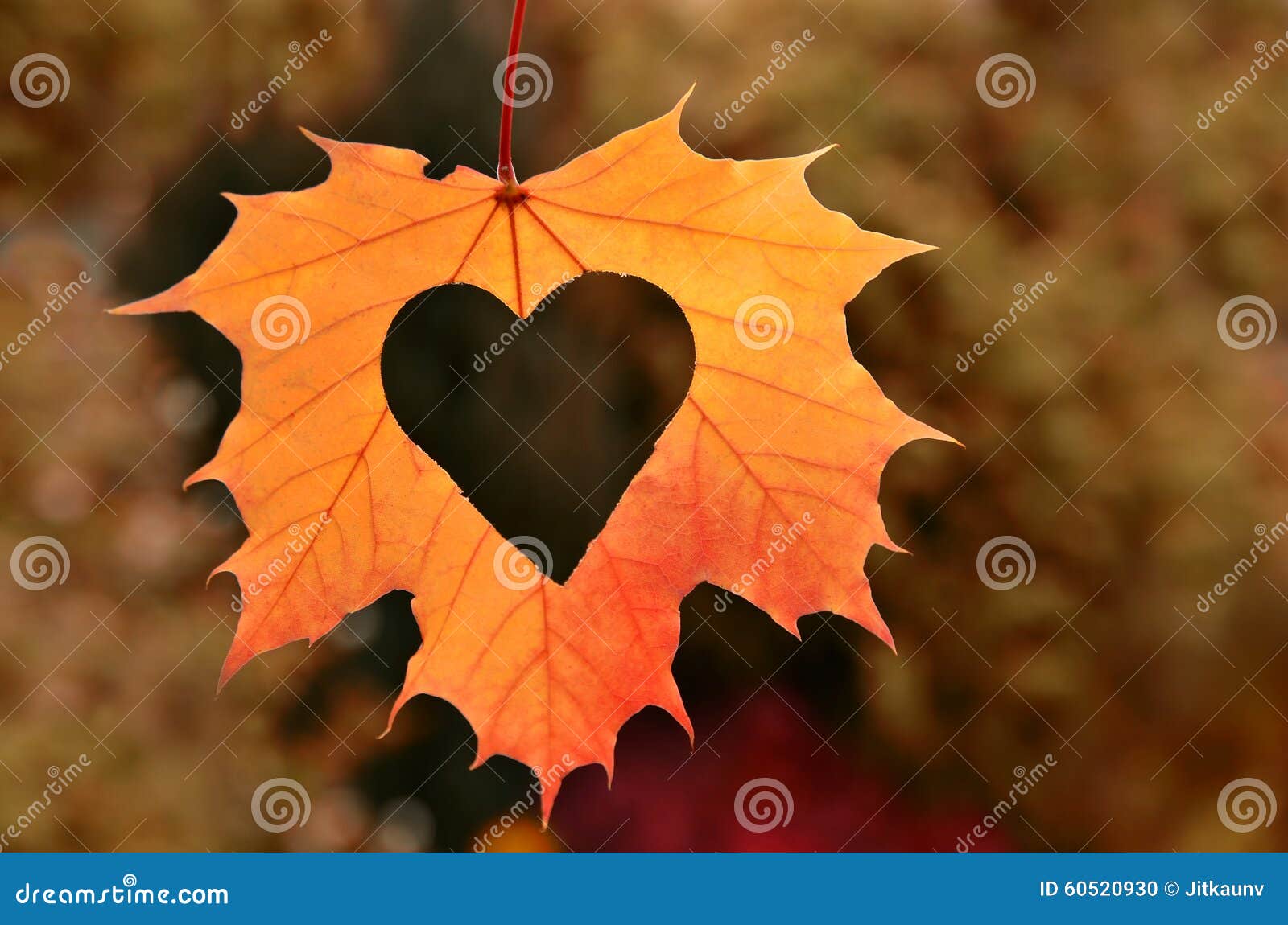 Autumn Leaf Heart Royalty-Free Stock Image | CartoonDealer.com #60520930
