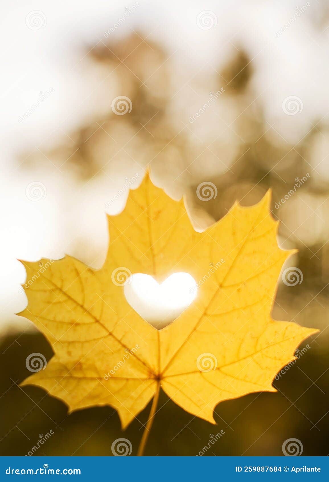 Autumn Leaf Heart Shape Cutting Outdoors Stock Photo - Image of ...