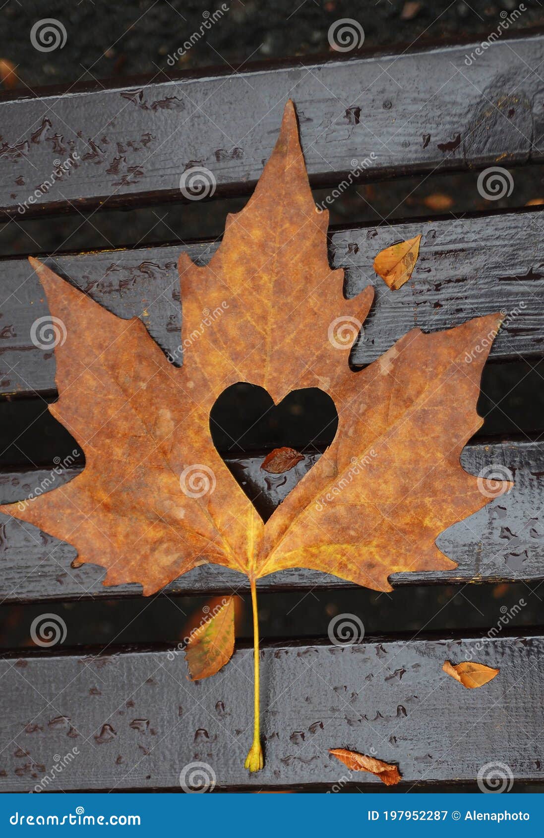 Autumn Leaf with Heart on Wooden Background. Stock Image - Image of ...