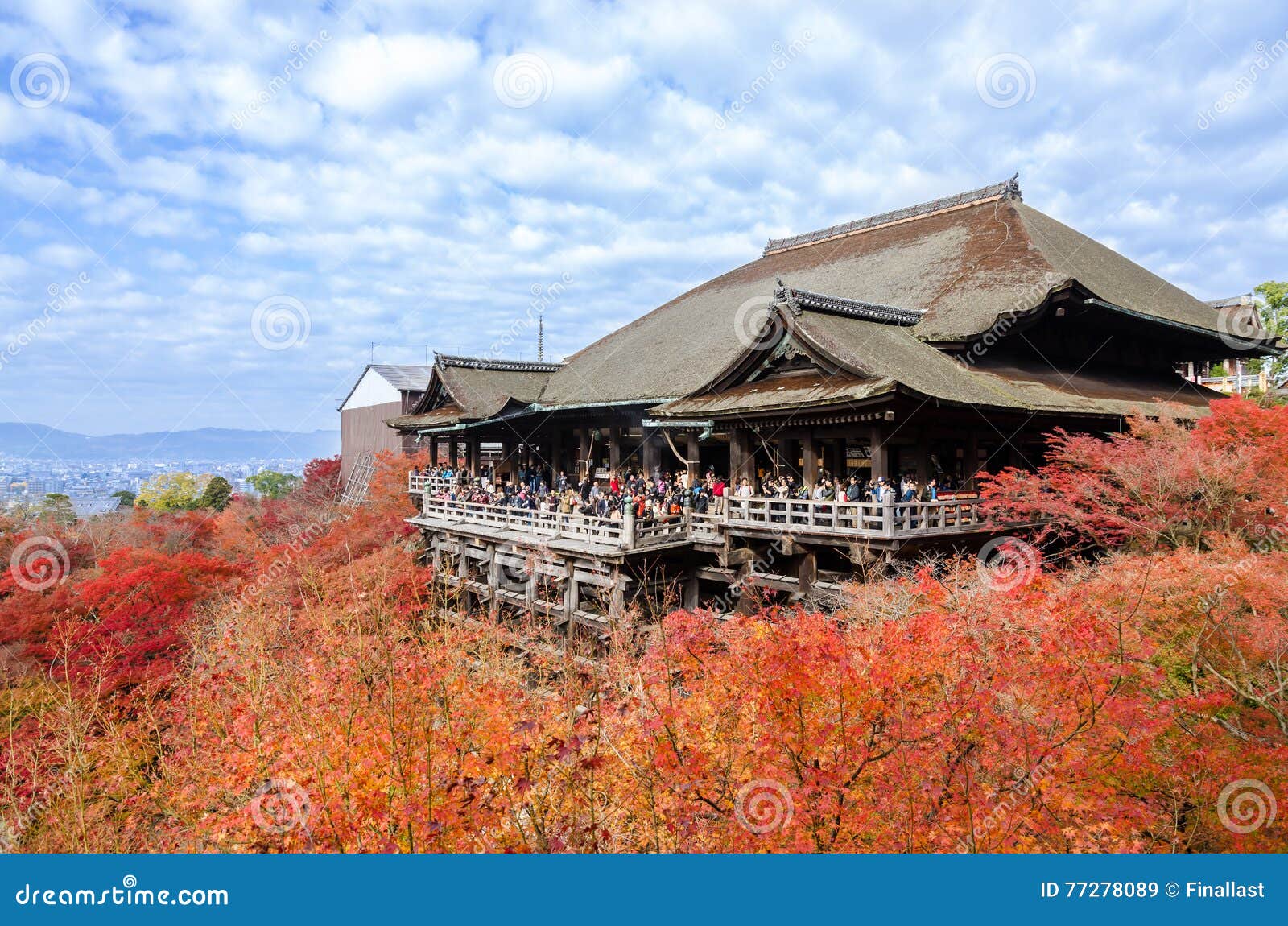 Autumn Leaf in Kiyomizu-dera Temple Editorial Stock Image - Image of ...