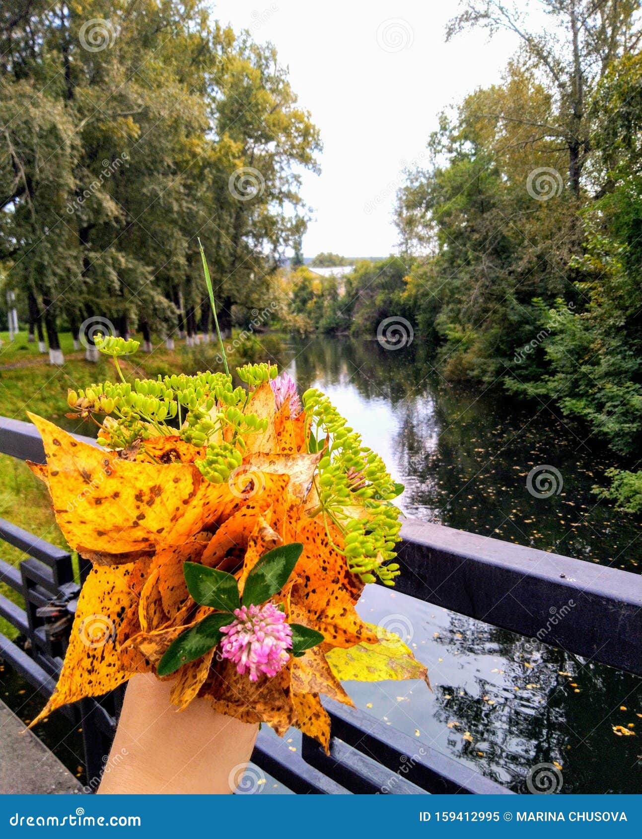 Autumn Leaf Lake Fall Nature Park Stock Image - Image of leaf, autumn ...
