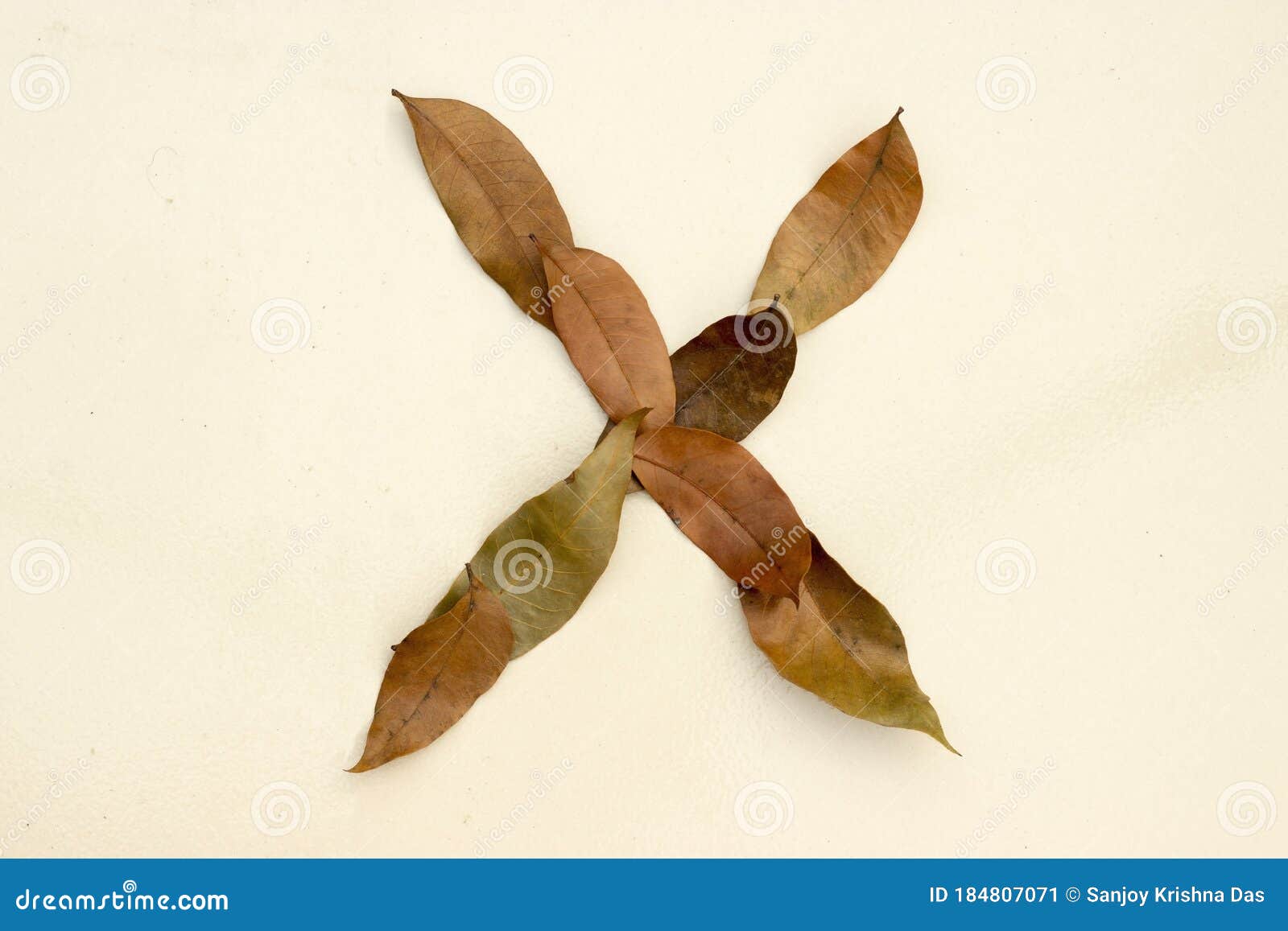 Autumn Leaf Letter X Background Image. Natural Forest Leaf Alphabet ...