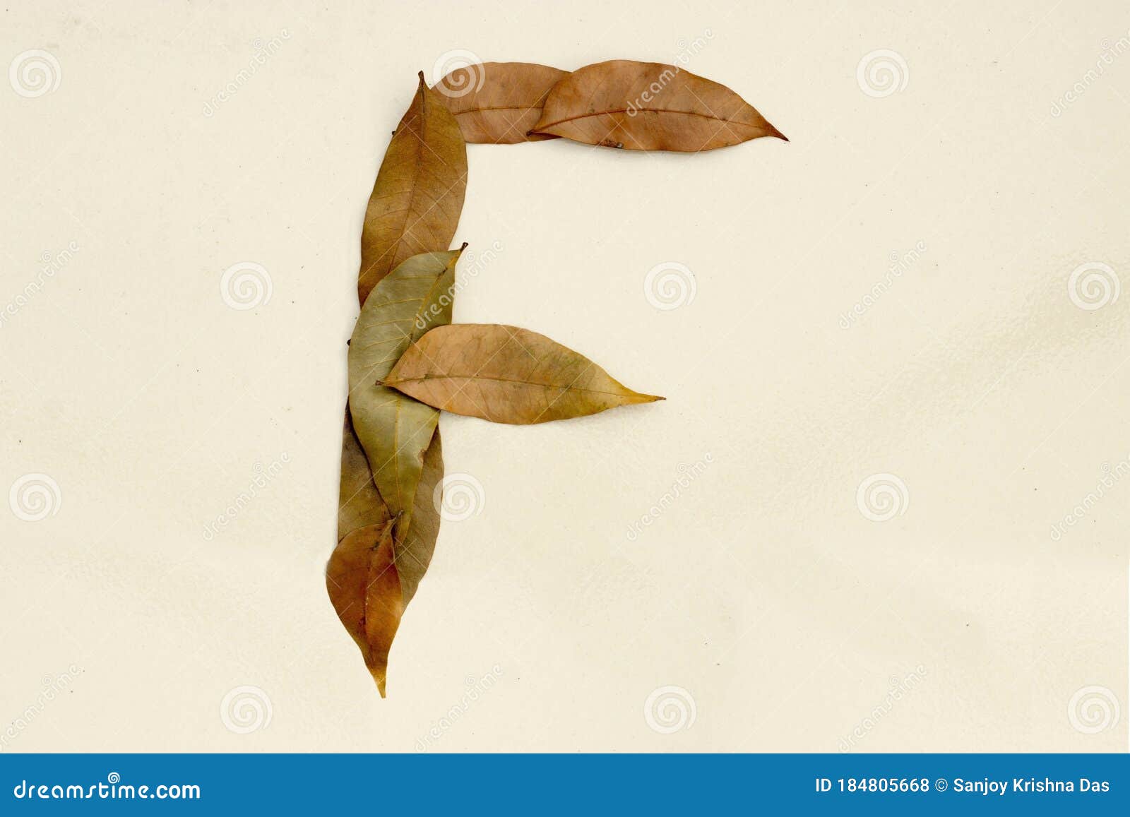Autumn Leaf Letter F Background Image. Natural Forest Leaf Alphabet ...