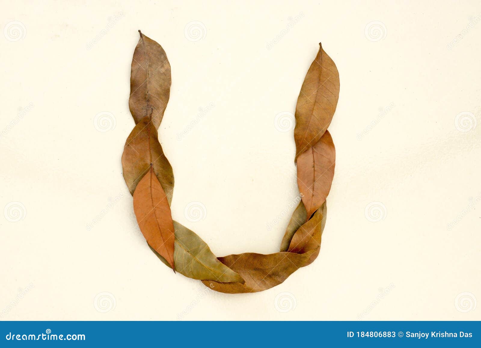 Autumn Leaf Letter U Background Image. Natural Forest Leaf Alphabet ...