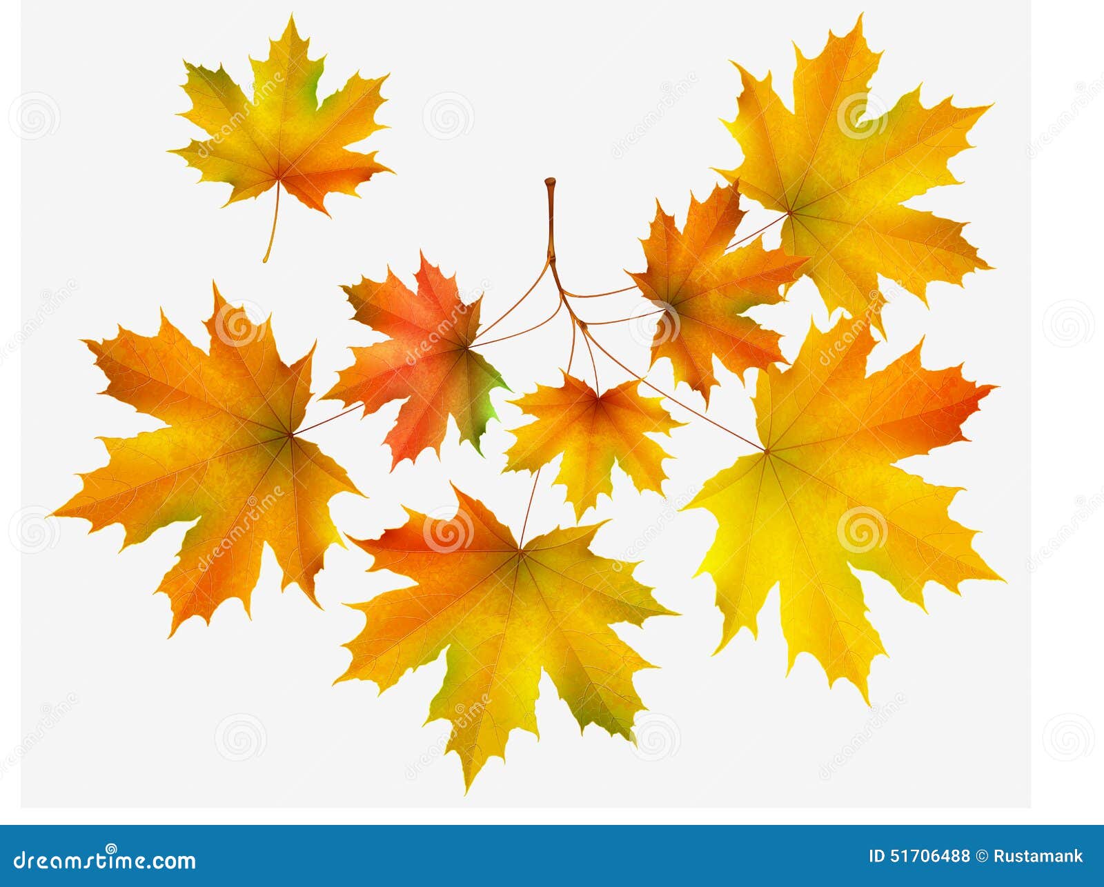 Autumn Leaf Maple and Maple Branch Stock Vector - Illustration of ...
