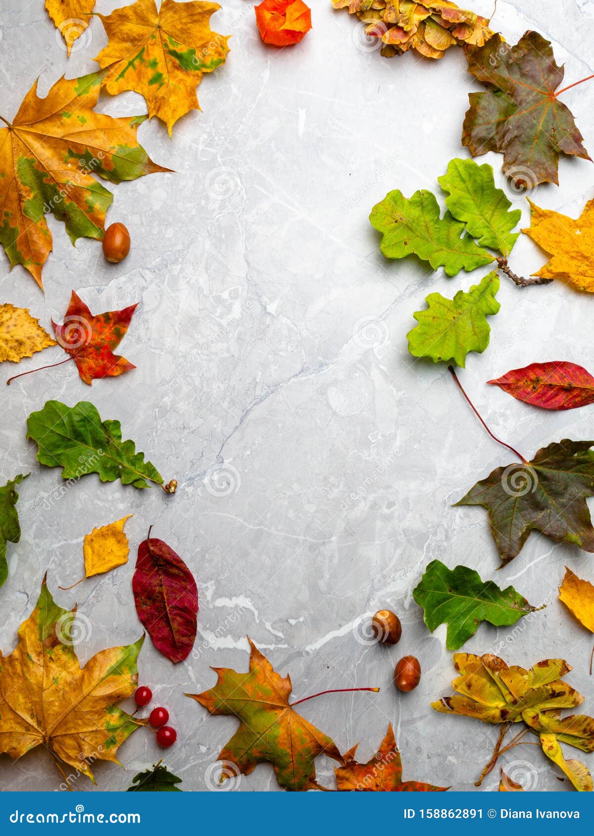 Autumn Leaf on Marble Background, Copy Space Stock Image - Image of ...