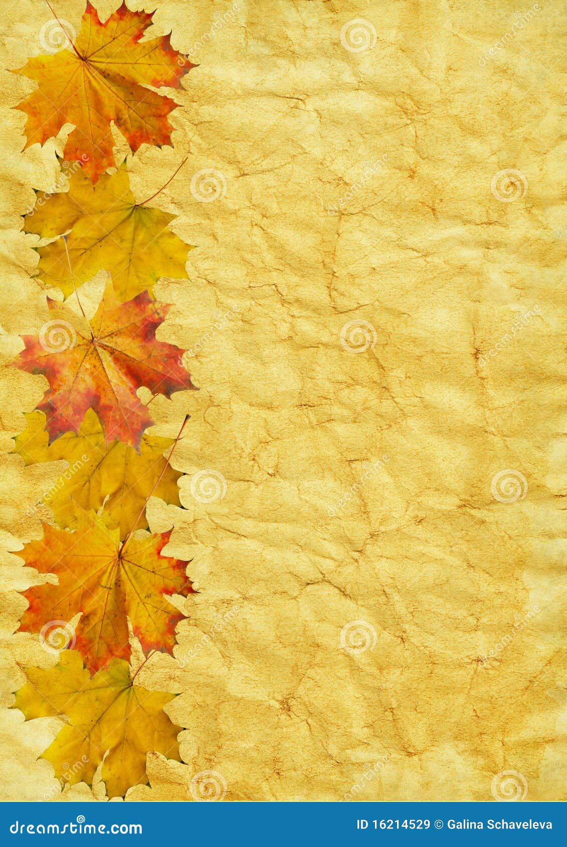 Autumn leaf on old paper stock image. Image of decorative - 16214529