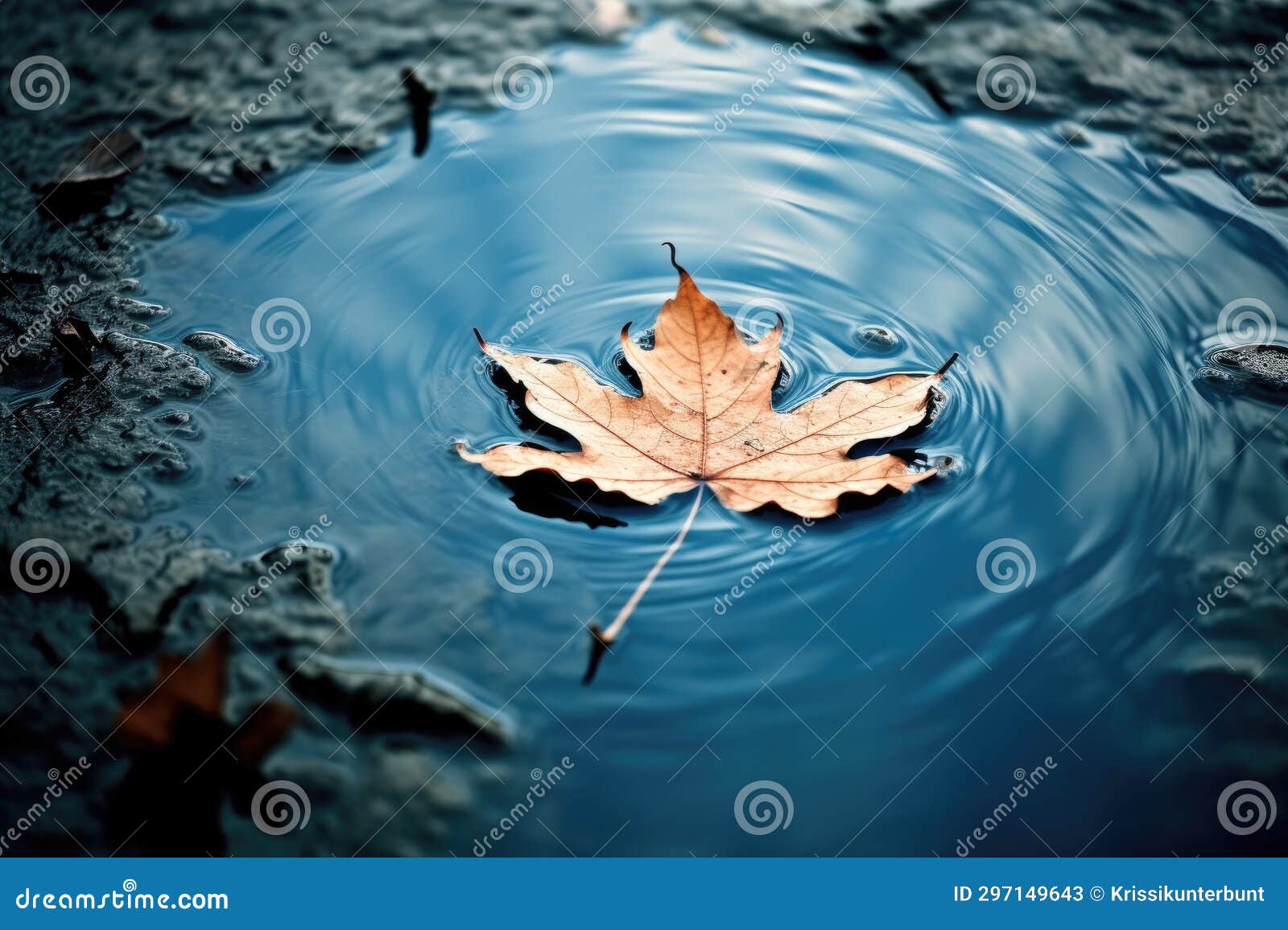 Autumn Leaf in a Puddle AI Generated Stock Image - Image of beautiful, beauty: 297149643
