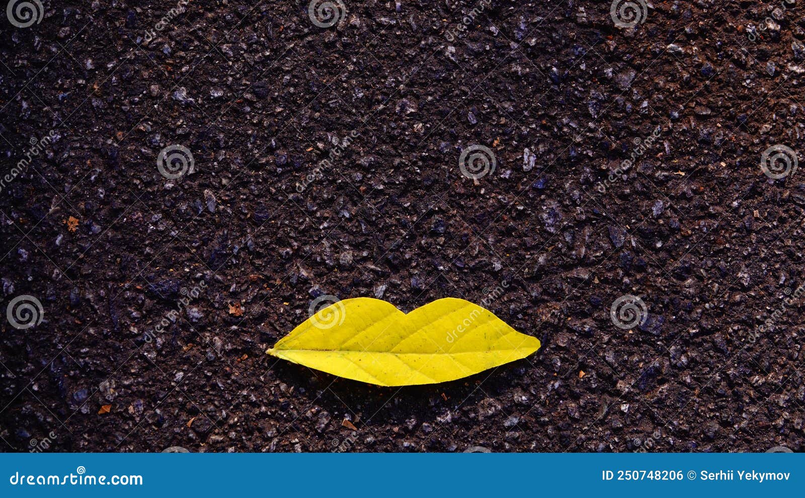 Autumn Leaf on the Road in the Form of Lips Stock Photo - Image of ...