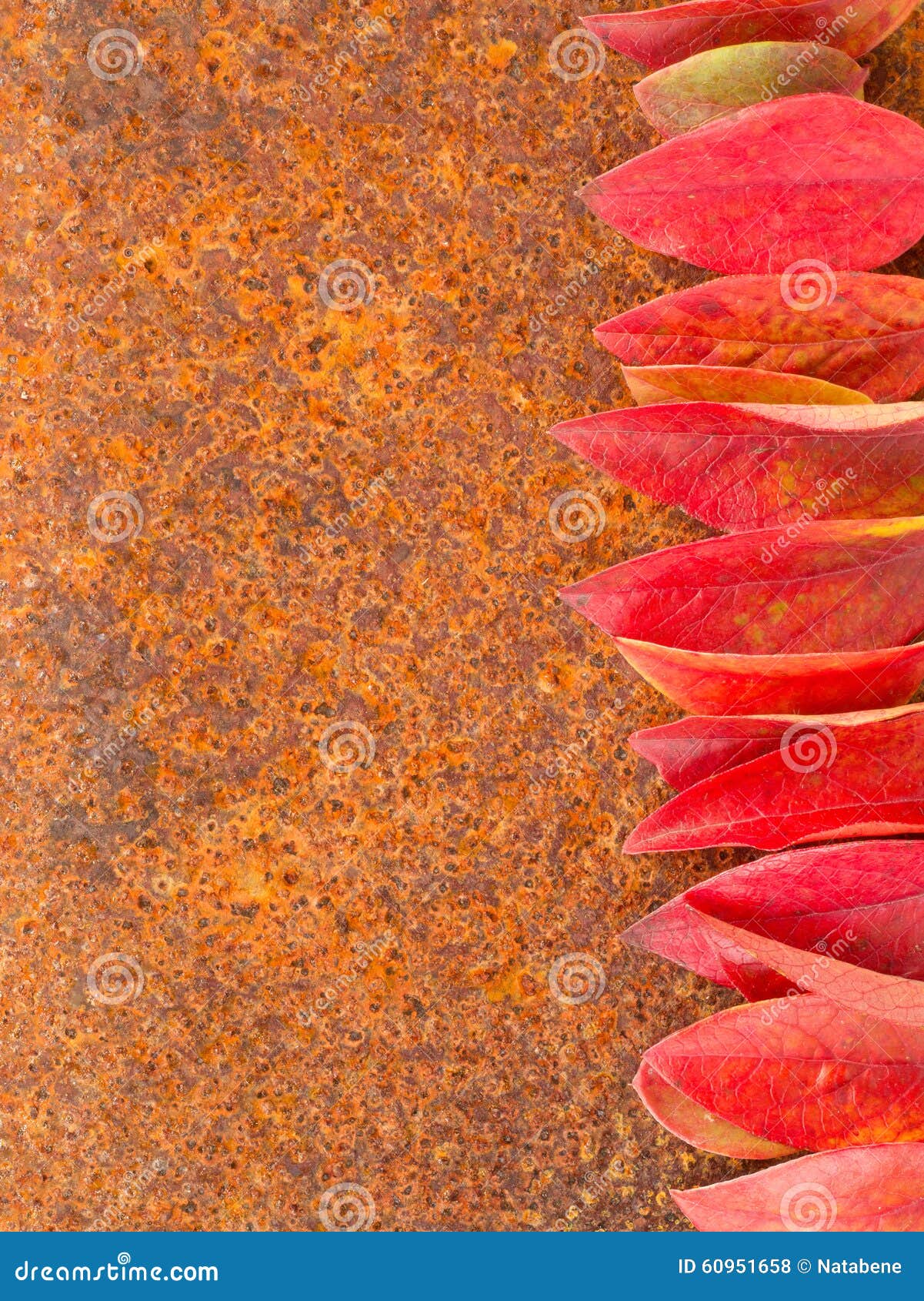 Autumn Red, Orange, Leaf on Old Rusty Metal Corroded Texture, Orange ...
