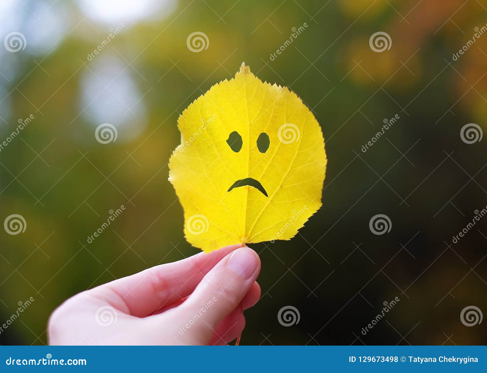 Autumn Leaf Sad Face in a Hand Stock Photo - Image of background, flora ...